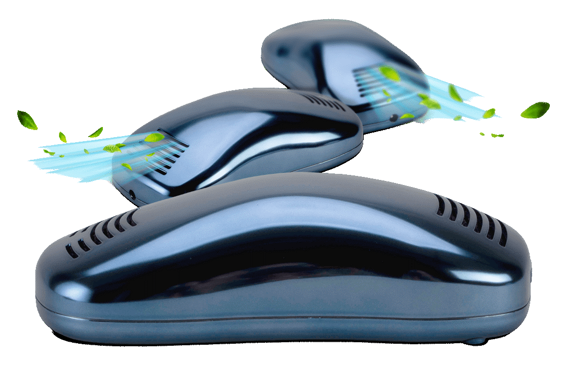 MOBIZONE SYSTEM – DDS